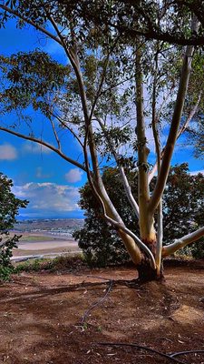 PRINCE OF PEACE ABBEY - Updated December 2025 - 172 Photos & 24 Reviews ...