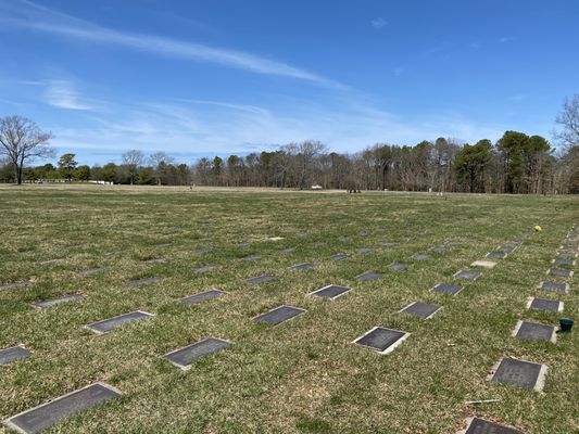 CALVERTON NATIONAL CEMETERY - 82 Photos & 30 Reviews - 210 Princeton ...