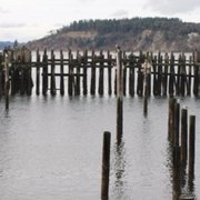 TITLOW BEACH AND PARK - 113 Photos & 33 Reviews - 8425 6th Ave, Tacoma ...