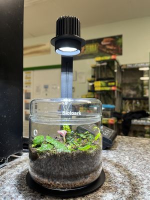 THE BIO DUDE - Updated January 2026 - 75 Photos & 46 Reviews - 15116 ...