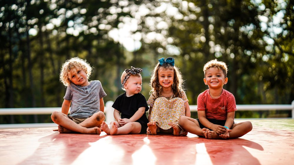 SKITTS MOUNTAIN FARMS - Updated September 2025 - 42 Photos - 7883 GA ...