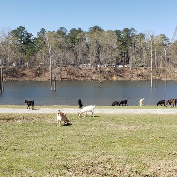 JACKSON LAKE ISLAND - Updated January 2026 - 56 Photos & 15 Reviews ...