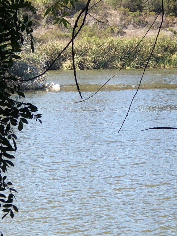 GUAJOME REGIONAL PARK - Updated July 2024 - 350 Photos & 135 Reviews ...