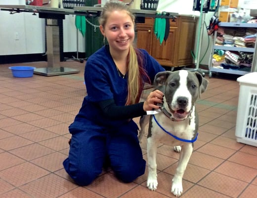 COLLIER SPAY NEUTER CLINIC - Updated December 2025 - 11965 Collier Blvd ...