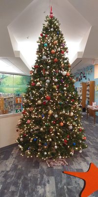 COCOA BEACH PUBLIC LIBRARY - Updated November 2025 - 43 Photos - 550 N ...