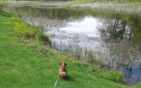 TOP COTTAGE - Updated May 2025 - 25 Photos - Hyde Park, New York ...