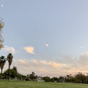 REID PARK - Updated June 2025 - 23 Photos & 12 Reviews - 800 N Orange ...