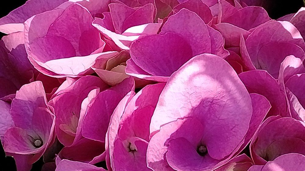 CONSERVICE THE UTILITY EXPERTS - Updated August 2025 - 95 Photos & 1056 ...