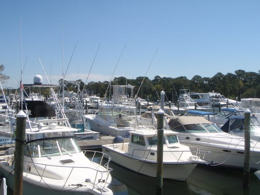MARINA SHORES MARINA - Updated May 2026 - 12 Photos - 2100 Marina ...