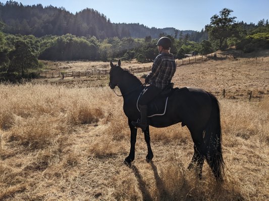 SILVER OAK STABLES - Updated October 2025 - 16 Photos - Forestville, California - Horse Boarding ...