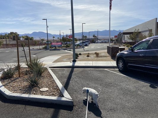 MESQUITE LIBRARY - Updated August 2025 - 20 Photos - 160 W First N St ...