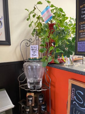 ORANGE CAT CAFE - Updated November 2025 - 16 Photos & 17 Reviews - 147 ...