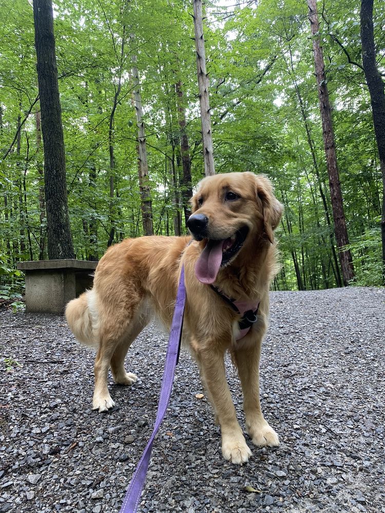 CHADWICK LAKE PARK - Updated October 2024 - 18 Photos - 1702 Rte 300 ...