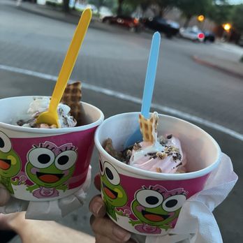 SWEET FROG - Updated January 2026 - 11 Photos - 101 Town Center Ln ...