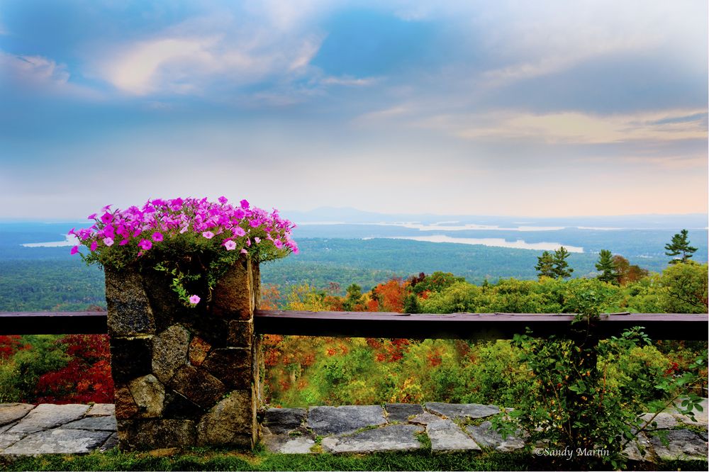 THE SANDY MARTIN GALLERY - Updated March 2026 - 17 Bay St, Wolfeboro ...