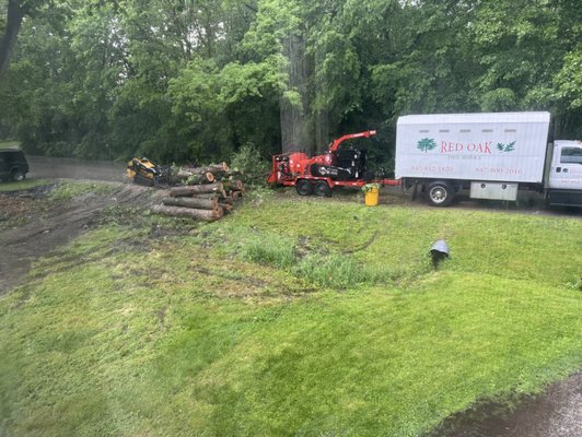 RED OAK TREE SERVICE - Updated January 2026 - 27 Photos & 22 Reviews ...