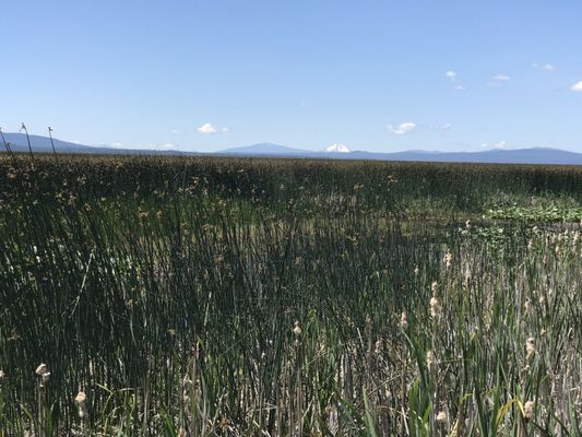 KLAMATH MARSH NATIONAL WILDLIFE REFUGE - Chiloquin, Oregon - Parks - Yelp