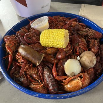 DEWY DEW BUGZ - Updated October 2025 - 40 Photos & 57 Reviews - 9419 ...