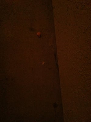 ONE 51 PLACE - Apartments - 15100 NW 150th Ct, Alachua, FL - Phone ...