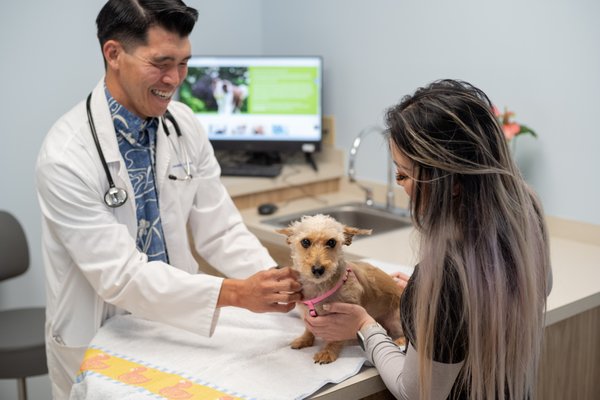 AINA HAINA VETERINARY CLINIC - Updated October 2025 - 17 Photos & 29 ...