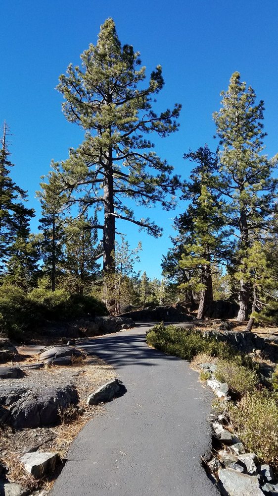 FRAZIER FALLS TRAIL - 55 Photos & 20 Reviews - Hiking - Gold Lake Hwy ...