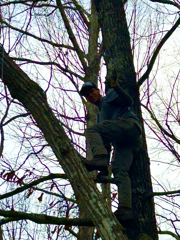 RDS TREE SERVICES - Updated July 2024 - Request a Quote - 903 Sunstone ...
