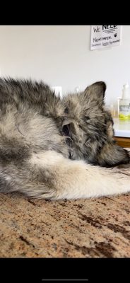 DR. BUTCHKO - 33 Photos & 62 Reviews - 5448 Mission Blvd, Riverside ...