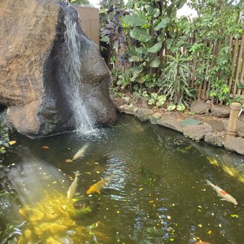 TROPICS MINI GOLF - Updated December 2024 - 348 Photos & 167 Reviews ...