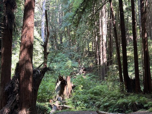 POMO CANYON ENVIRONMENTAL CAMPGROUND - Updated December 2025 - 20 ...