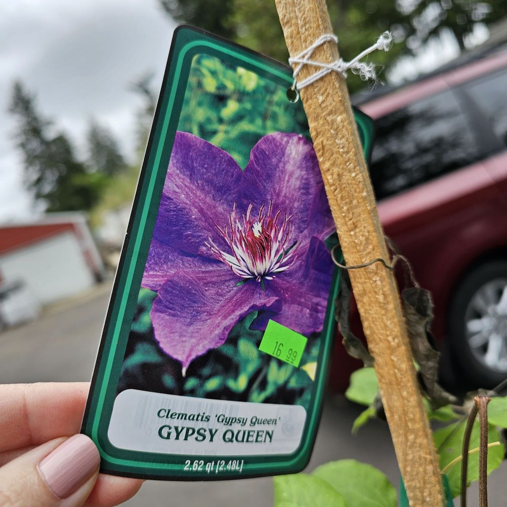 GROWERS OUTLET - Updated December 2025 - 101 Photos & 72 Reviews ...