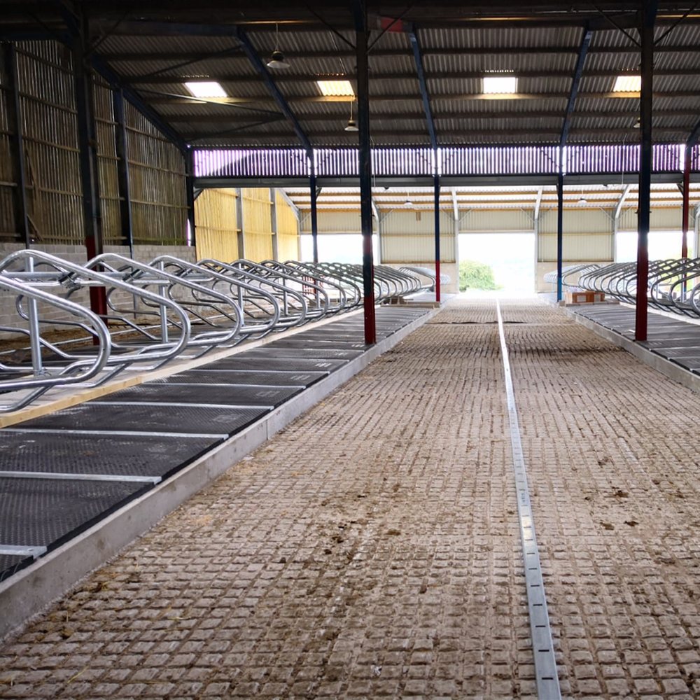 MAYO COW COMFORT - Updated March 2025 - Isle of Man Farm Meadow Lane ...