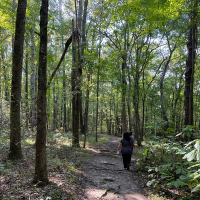 STUMPY LAKE NATURAL AREA - Updated September 2025 - 248 Photos & 20 ...