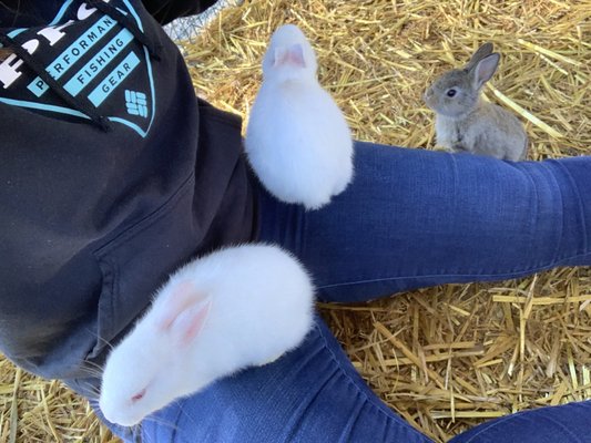 BEE CITY ZOO - 337 Photos & 84 Reviews - 1066 Holly Ridge Ln ...