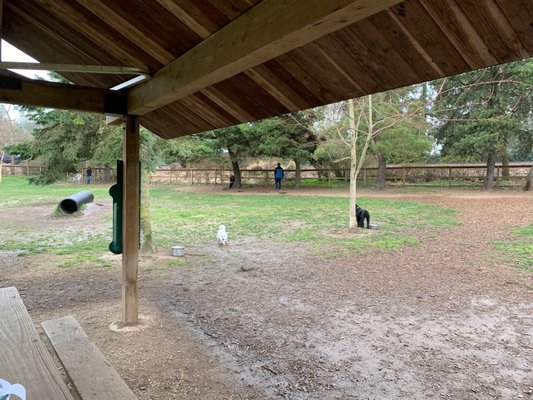 HAZELIA FIELD DOG PARK - Updated March 2025 - 85 Photos & 63 Reviews ...