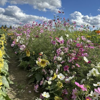 STOCKER FARMS - Updated October 2025 - 198 Photos & 133 Reviews - 8705 ...