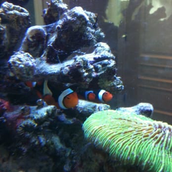 MAHOGANY SALON AND SPA - Updated January 2026 - 10 Photos - 369 ...