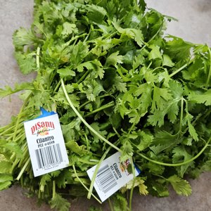 SAFEWAY - Updated September 2025 - 12 Photos & 33 Reviews - 624 Hwy 105 ...