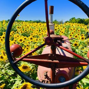 CONNORS FARM - 179 Photos & 295 Reviews - 30 Valley Rd, Danvers ...