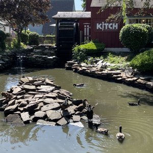 OLDE MISTICK VILLAGE | 279 Photos & 133 Reviews - 27 Coogan Blvd ...