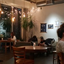 BULA KAVA HOUSE - Updated July 2025 - 102 Photos & 146 Reviews - 3115 SE Division St, Portland ...