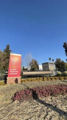 USC HEALTH SCIENCE CAMPUS - Updated February 2025 - 41 Photos - Los ...