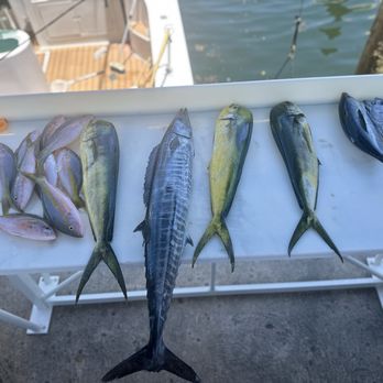 THE FISH HOUSE - Updated December 2025 - 2125 Photos & 1717 Reviews ...
