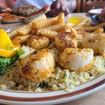 MIKE’S BAR & CRAB HOUSE - Updated June 2024 - 1127 Photos & 1113 ...