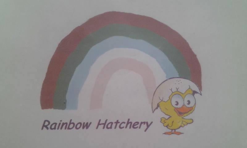 RAINBOW HATCHERY - Updated November 2025 - 4668 210th Ave, Reed City ...