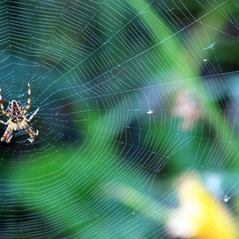 CHARLES JORDAN COMMUNITY CENTER - Updated October 2025 - 26 Photos ...