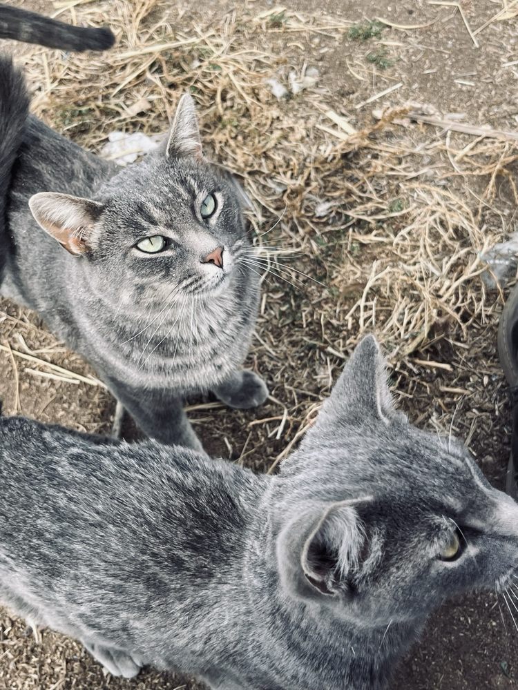 PENN FOSTER - Updated December 2025 - 84 Reviews - 200 Hickory St ...