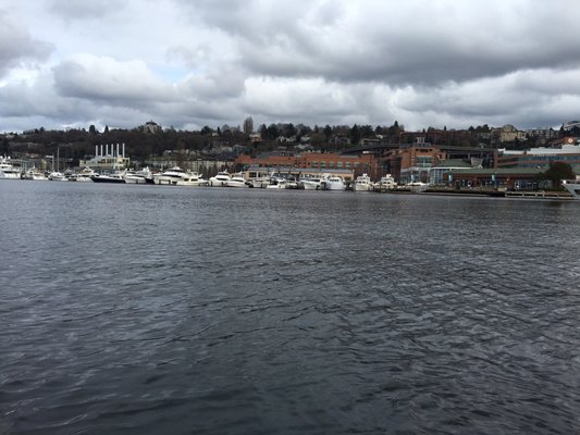 UNION MARINE - Updated December 2025 - 30 Photos & 35 Reviews - 3201 ...