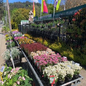 GARDENWORLD NURSERY - Updated September 2025 - Springvale Rd ...