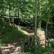 DUNBAR CAVE STATE PARK - 258 Photos & 59 Reviews - 401 Old Dunbar Cave ...