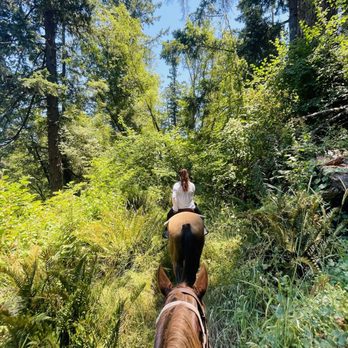 FIVE BROOKS RANCH - Updated November 2024 - 221 Photos & 381 Reviews ...